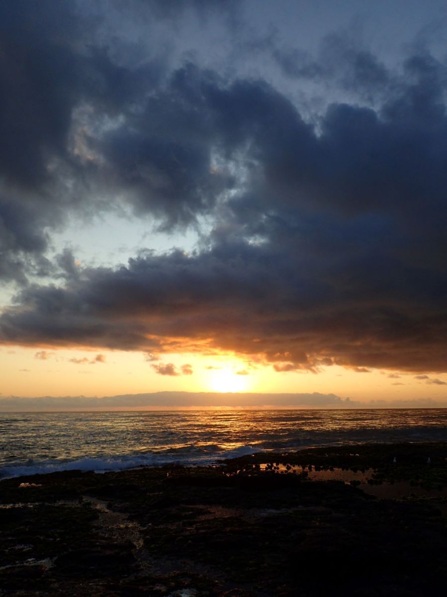 Flat Rock & South Ballina – January 2020 | Landangler's Blog