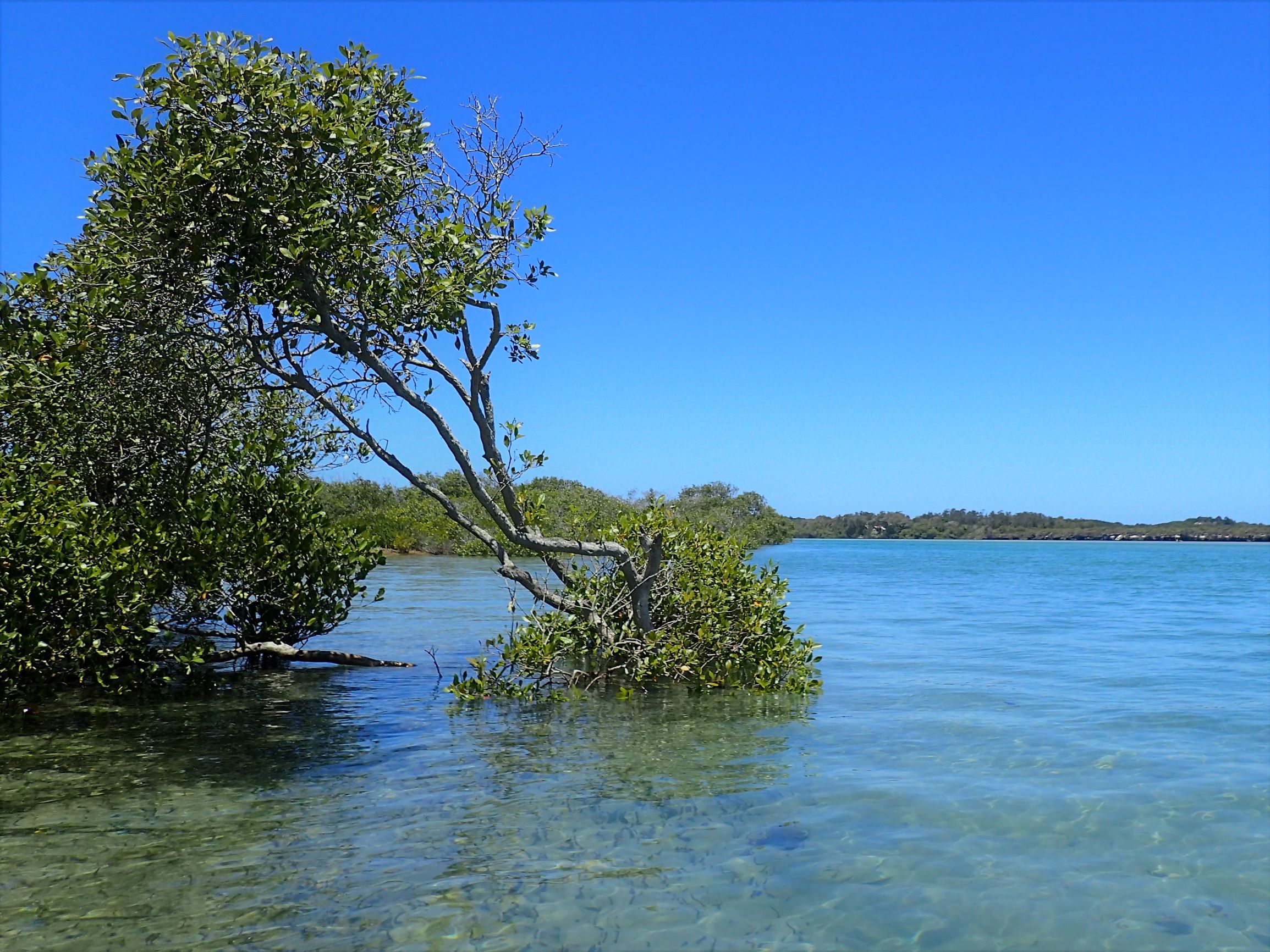 Sandon River | Landangler's Blog