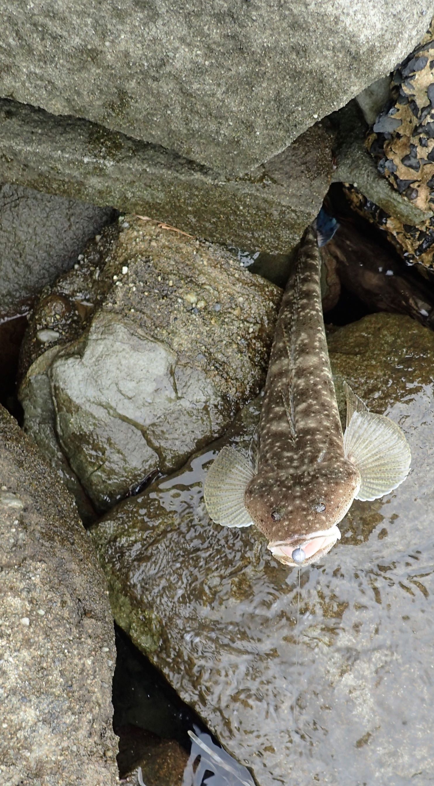 fishing spots Ballina | Landangler's Blog