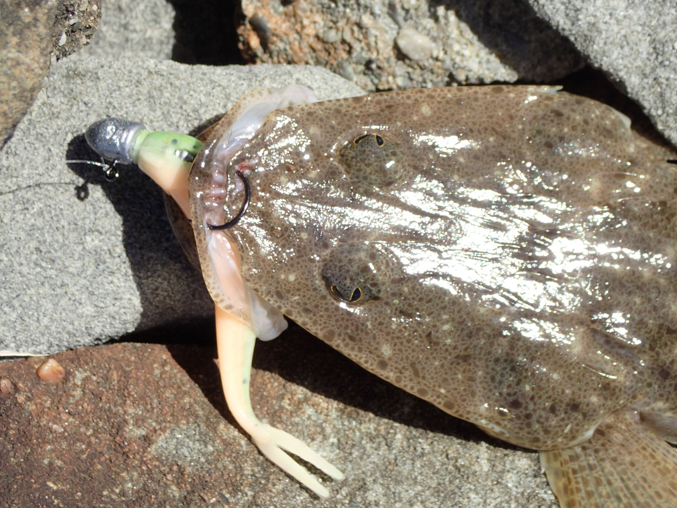 fishing spots Ballina | Landangler's Blog