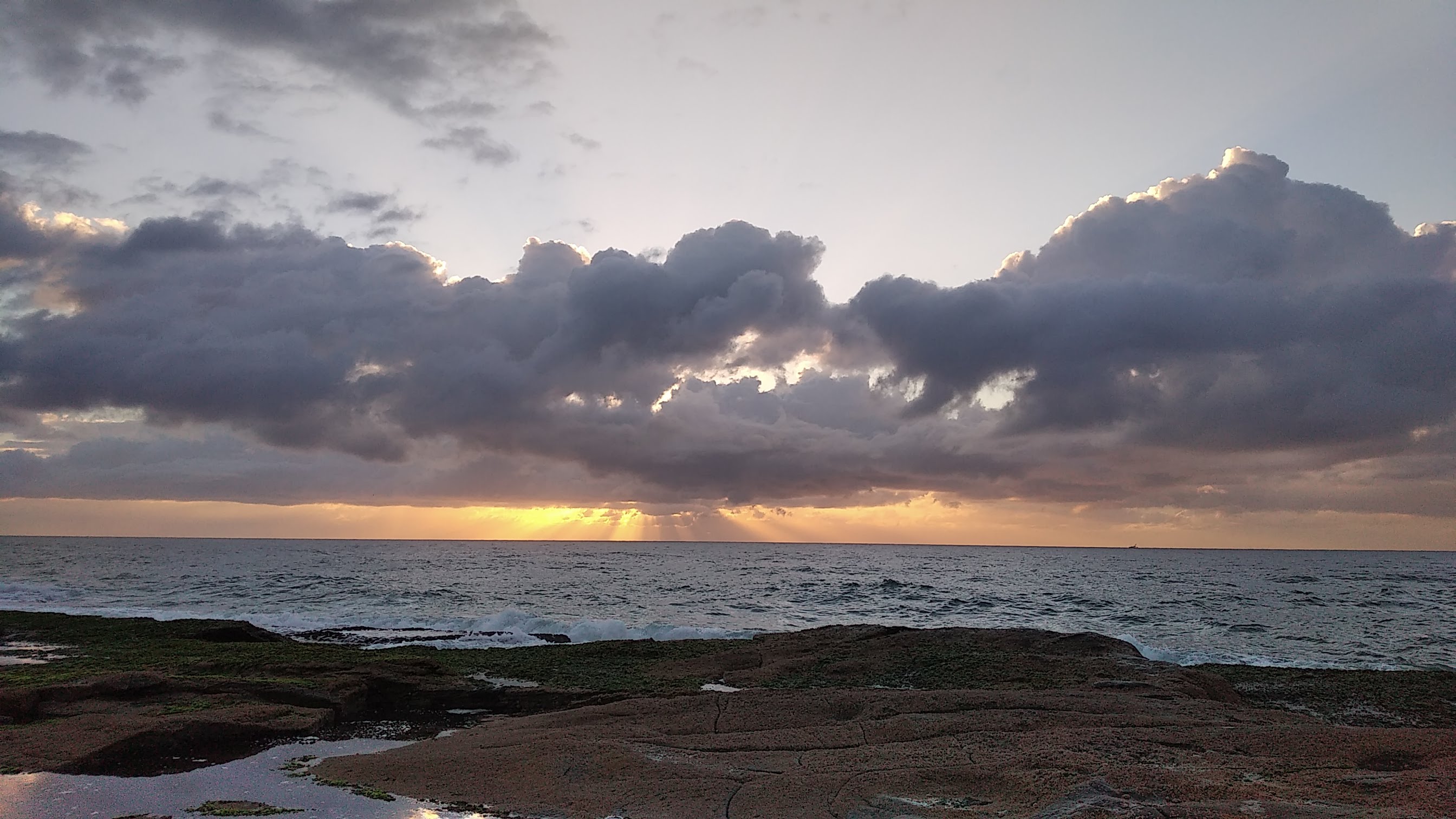 Woody Head best land based fishing spots | Landangler's Blog