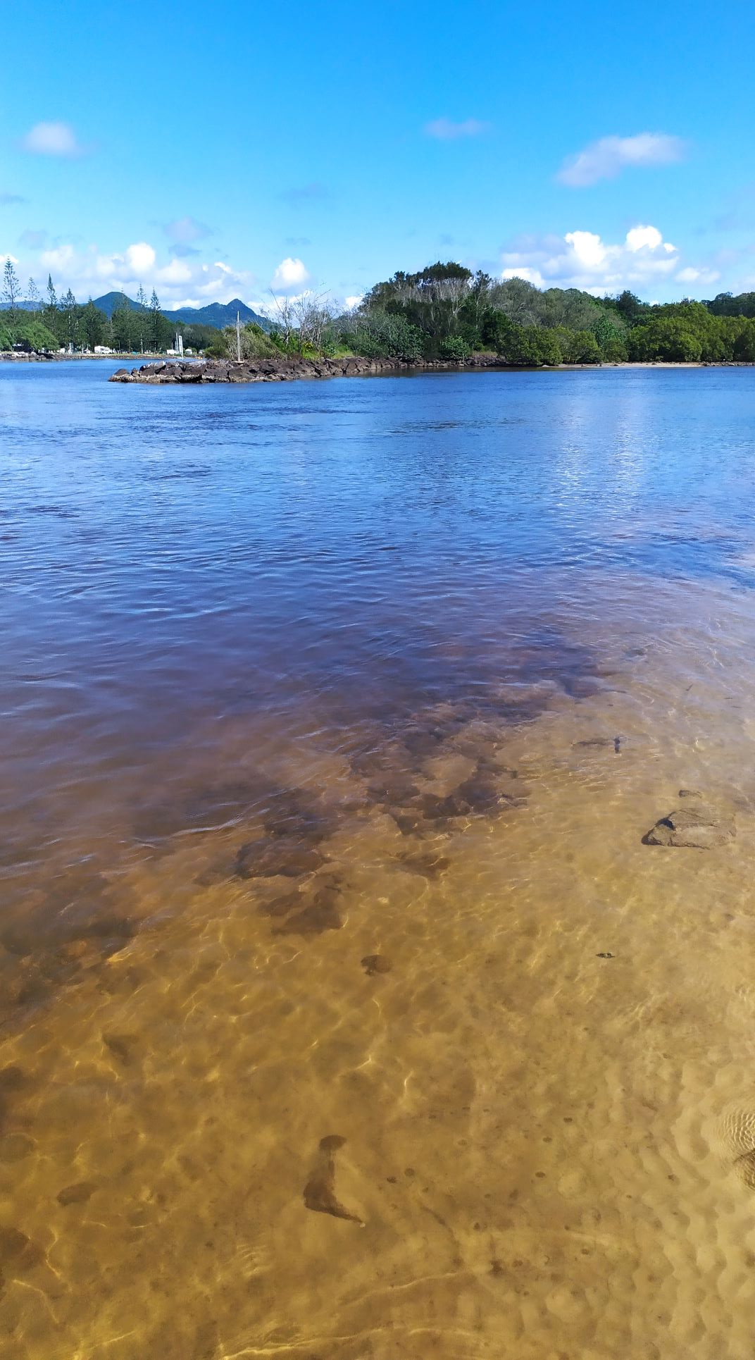 Brunswick Heads and Ballina – Fishing post floods – March 2022 ...