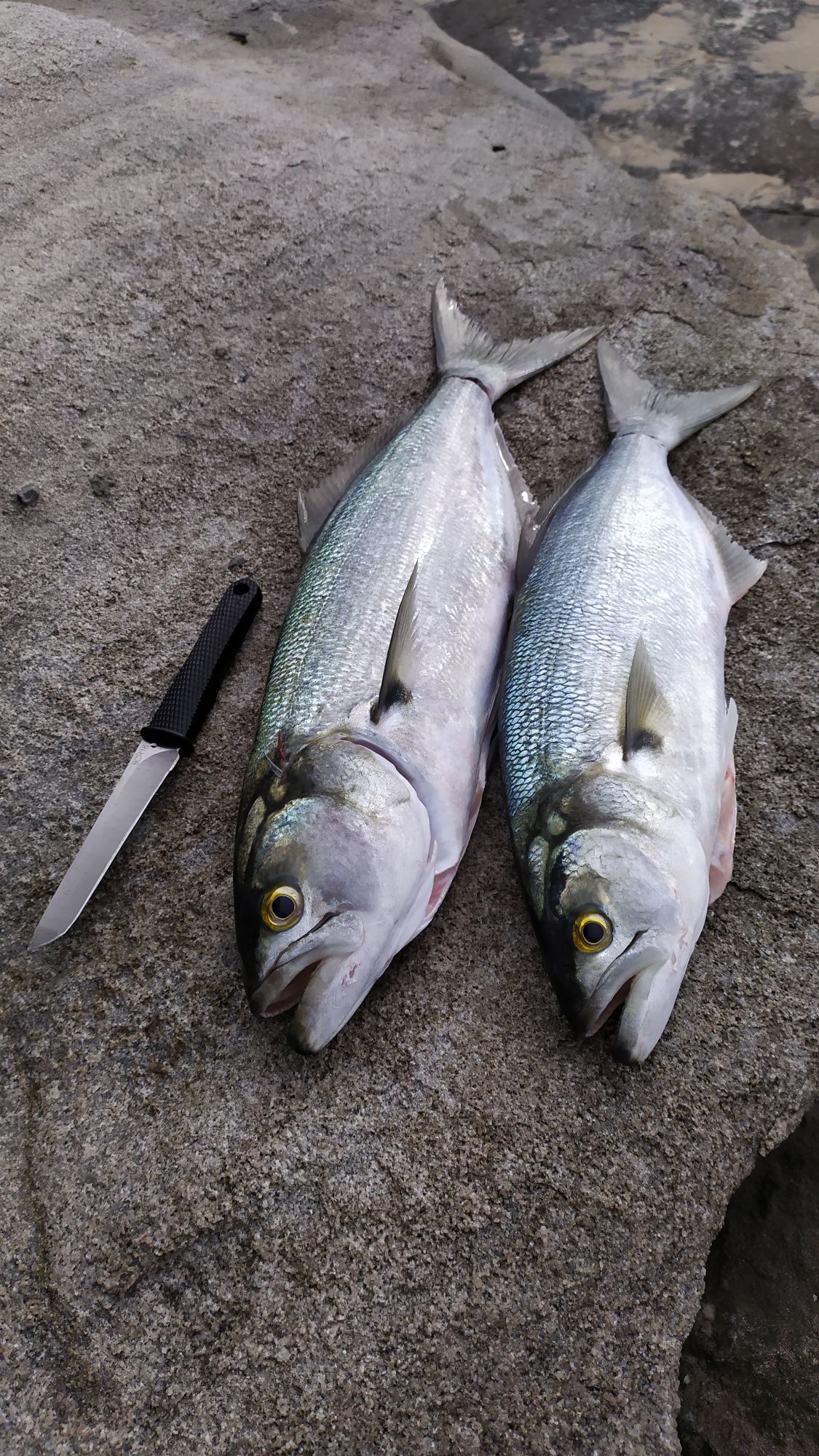 Landangler | Landangler's Blog